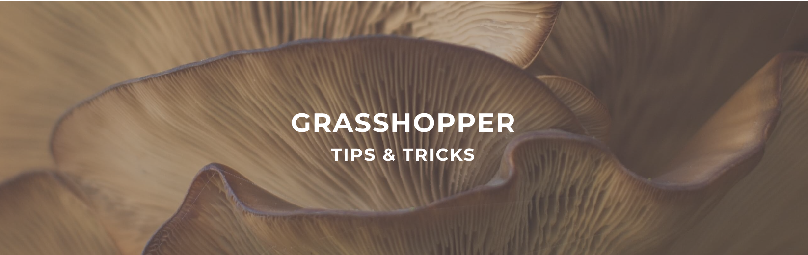 GRASSHOPPER - Rhino3Dzine